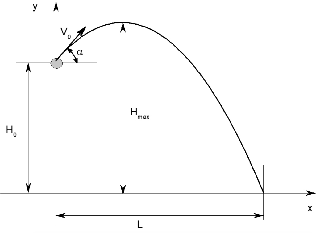 Solved What is acceleration of the ball, performing | Chegg.com