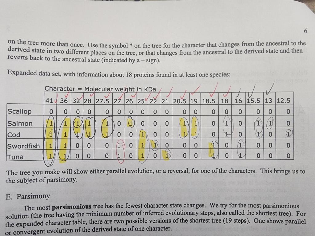 Solved Draw a phylogenetic tree using the table above. | Chegg.com