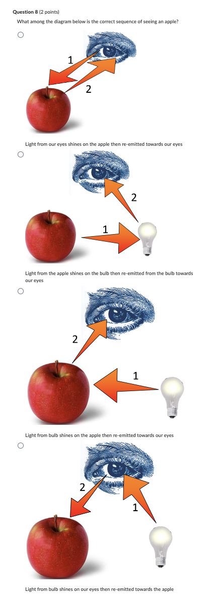 Solved What among the diagram below is the correct sequence | Chegg.com