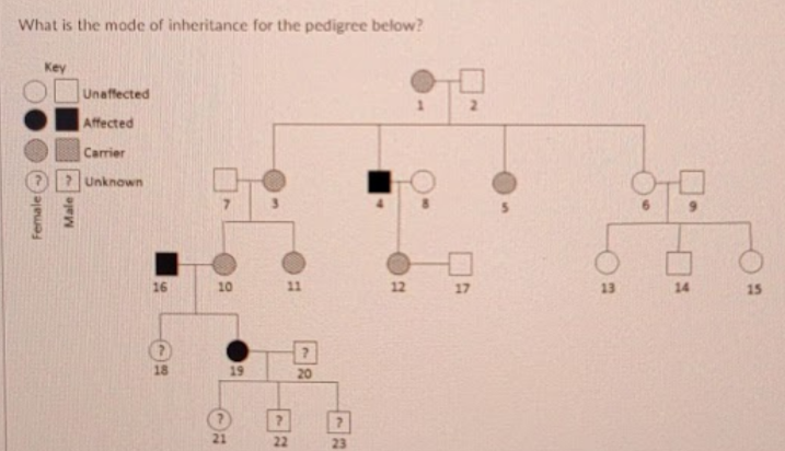 Solved What is the mode of inheritance for the pedigree | Chegg.com