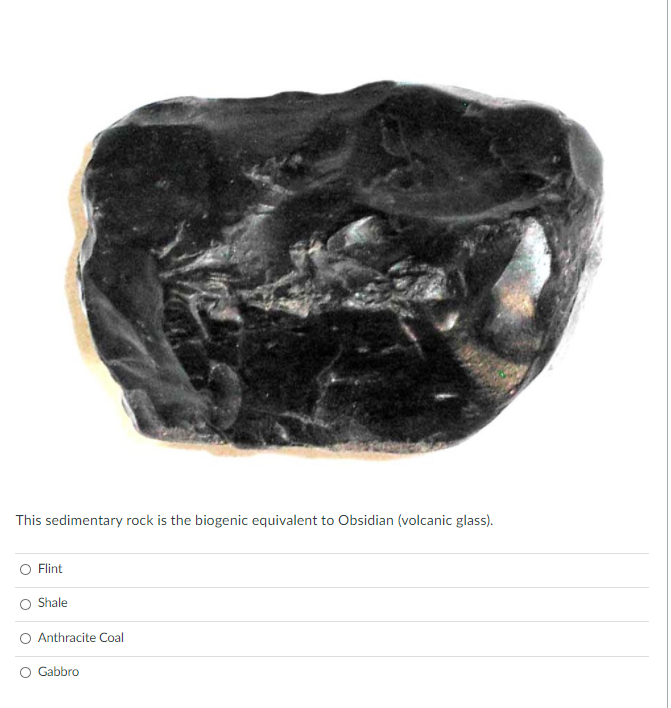 Solved 3.Shale has a platy, crumbly texture it is | Chegg.com