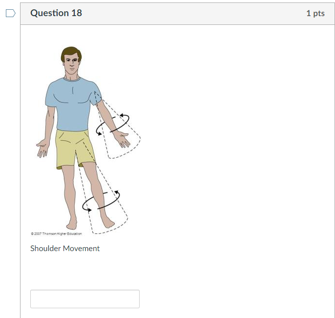 Solved Complete the following Lab Activity on Movement | Chegg.com