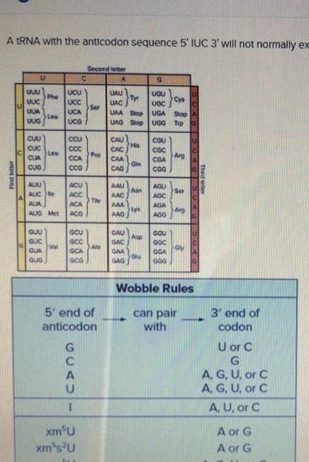 Solved A tRNA with the anticodon sequence 5' IUC 3' will not | Chegg.com