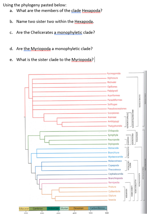 Solved by an EXPERT Using the phylogeny pasted below:a. ﻿What are the | Chegg.com