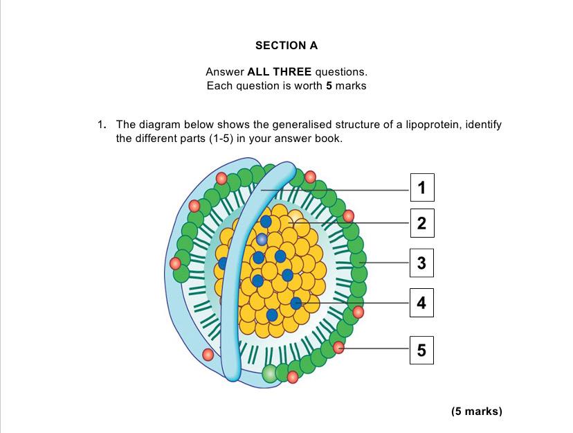 Solved SECTION A Answer ALL THREE questions. Each question | Chegg.com