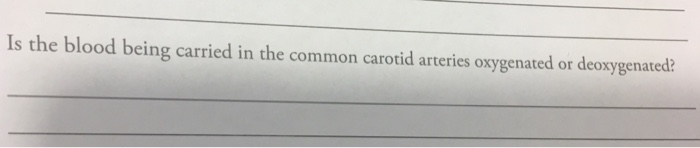 Solved Decide whether oxygenated blood, deoxygenated blood, | Chegg.com