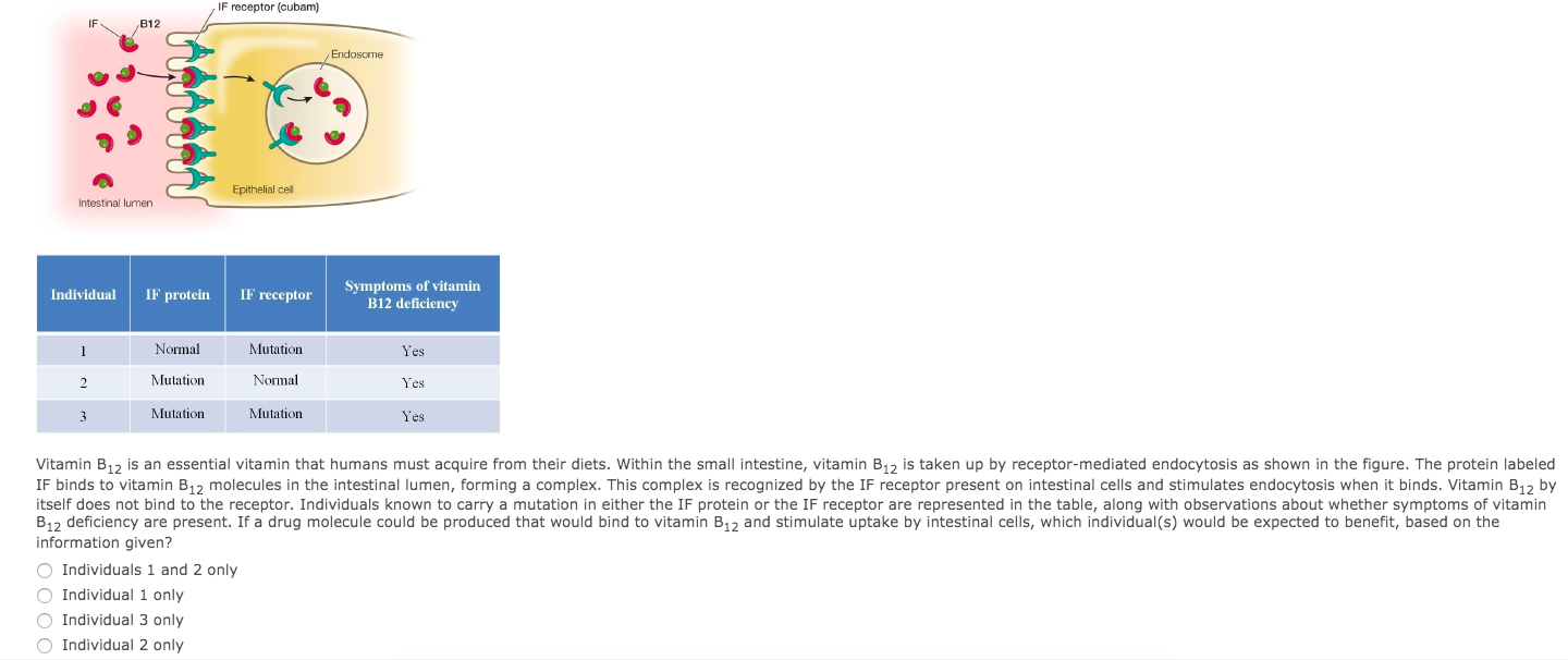 Solved IF receptor (cubam) IF B12 Endosome Epithelial cel | Chegg.com