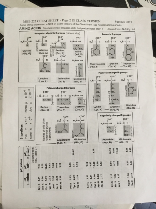 MBB 222 CHEAT Page 2 IN CLASS VERSION Summer 2017 | Chegg.com