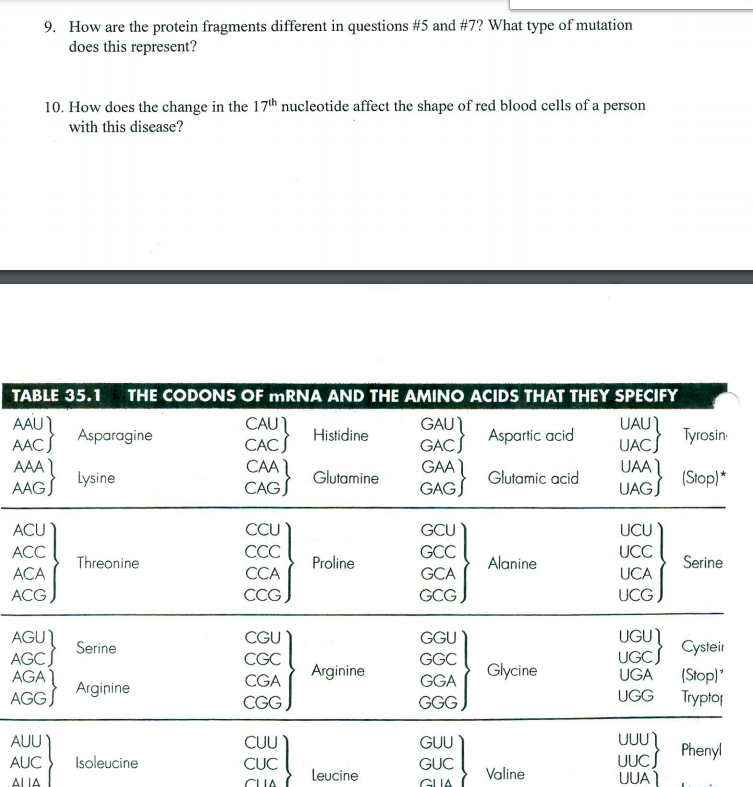 Solved Protein Synthesis Worksheet - Sickle Cell Anemia 1. | Chegg.com