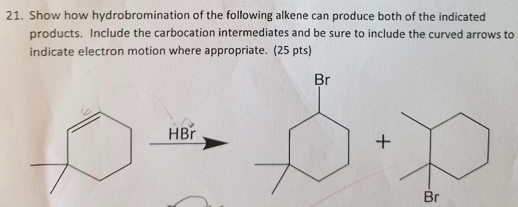 Solved 21. Show how hydrobromination of the following alkene | Chegg.com