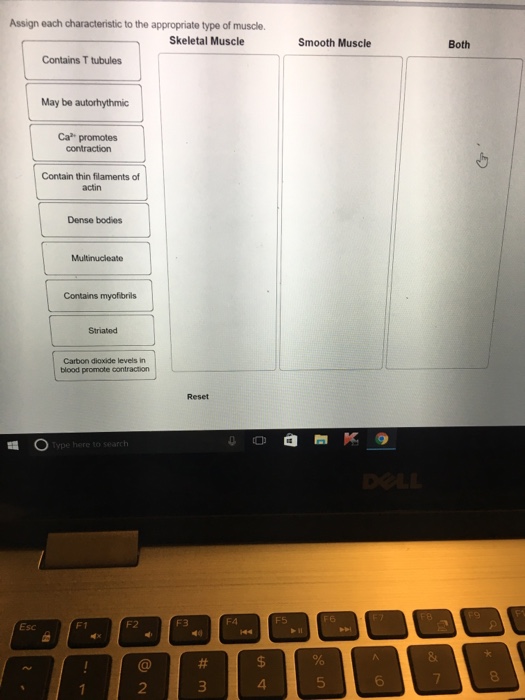 Solved Assign each characteristic to the appropriate type of | Chegg.com Solved Assign each characteristic to the appropriate type of | Chegg.com