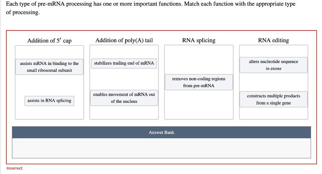 Solved Each type of pre-mRNA processing has one or more | Chegg.com