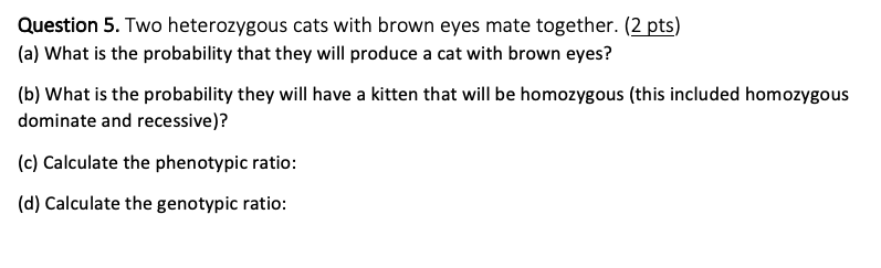 Solved Question 5. Two heterozygous cats with brown eyes | Chegg.com