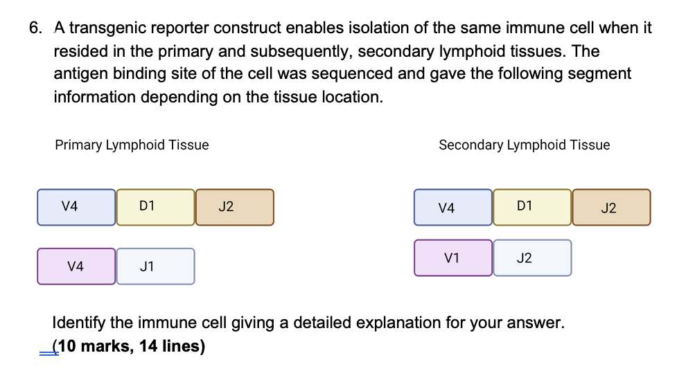 6. A transgenic reporter construct enables isolation | Chegg.com