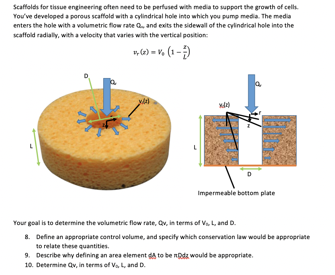 Solved Scaffolds for tissue engineering often need to be | Chegg.com