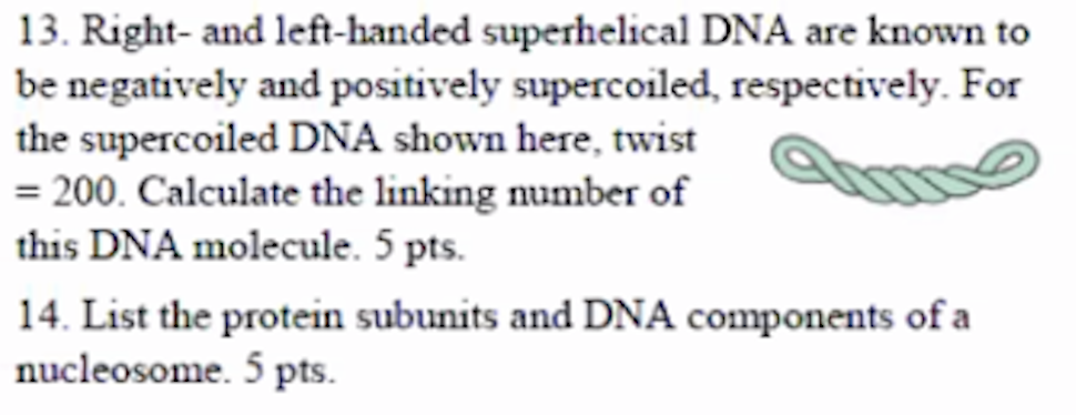 Solved 13. Right- and left-handed superhelical DNA are known | Chegg.com