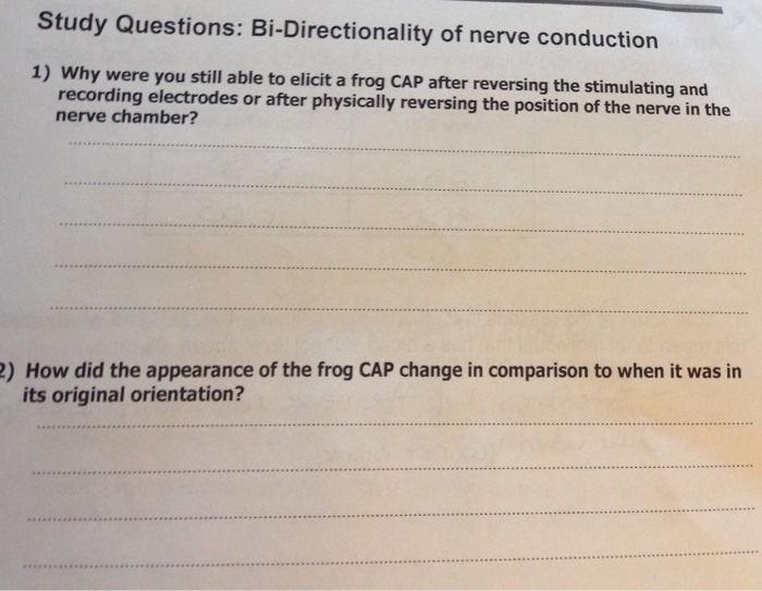 Solved nog Nerve CAP Student Protocol Analysis Compare the | Chegg.com