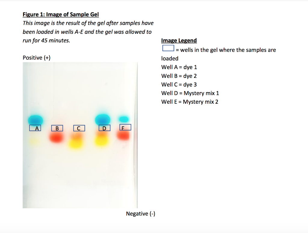 Solved 1. 1. List which known dyes have a negative charge. | Chegg.com