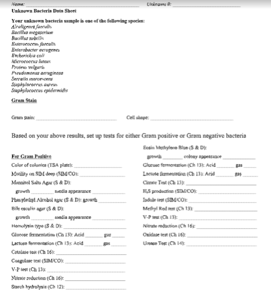 Uitnom Nem Unknown Bacteria Data Sheet Your unknown | Chegg.com