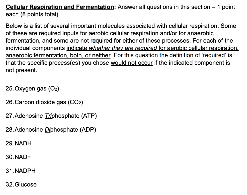 Solved Cellular Respiration and Fermentation: Answer all | Chegg.com