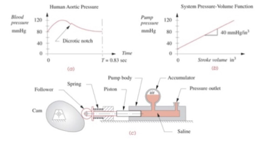 Solved A cam-driven pump to simulate human aortic pressure | Chegg.com