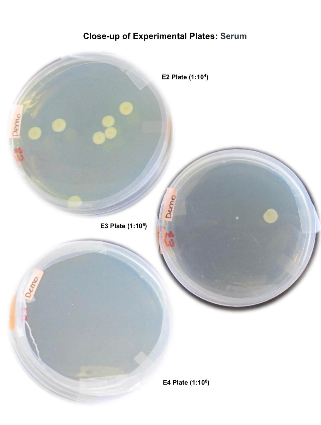Solved Instructions Last lab, each group performed serial | Chegg.com