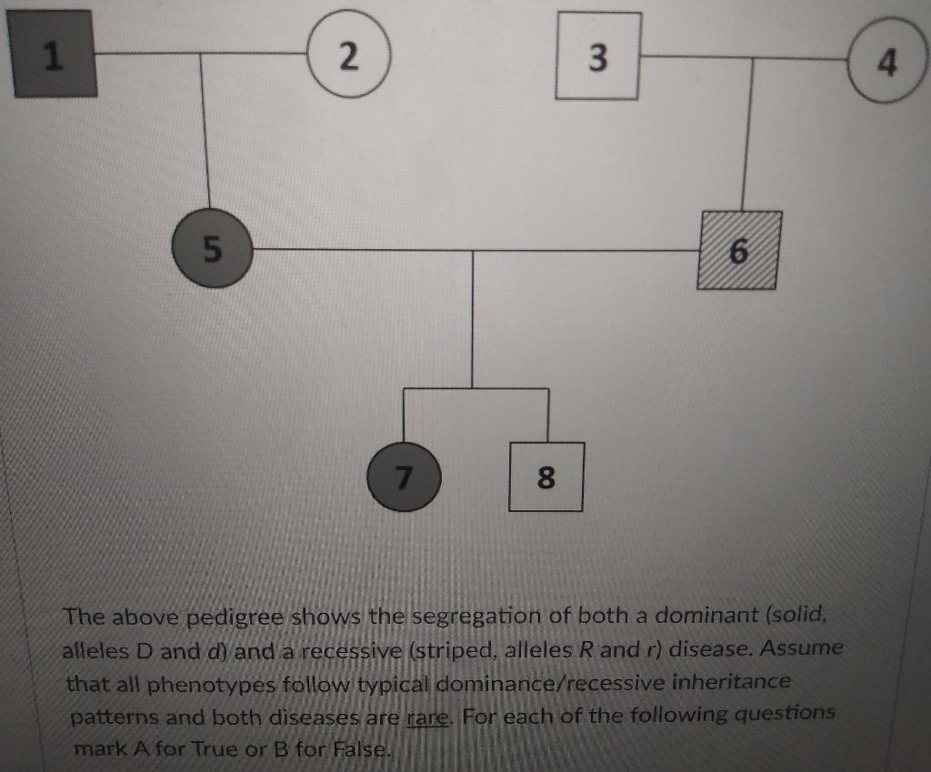 Solved If individuals 5 and 6 have two more children, the | Chegg.com
