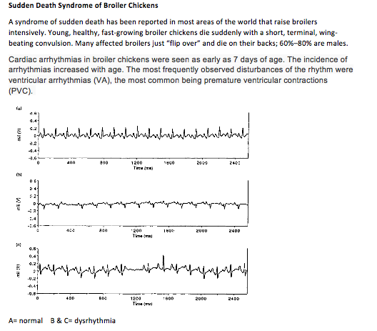 Solved Using what you know about the heart cycle pinpoint | Chegg.com