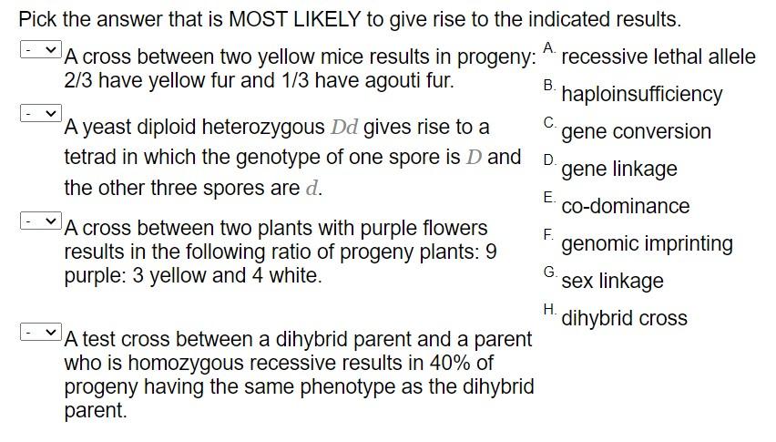 Solved Complete the following lac operon merodiploid | Chegg.com