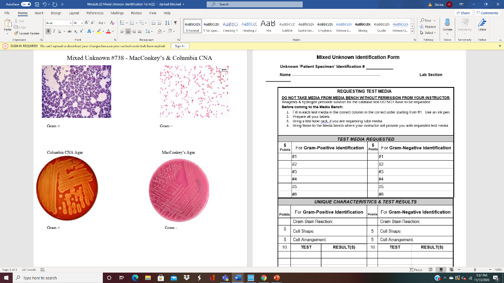 Mixed Unknown Identification Form Unknown 'Patient | Chegg.com