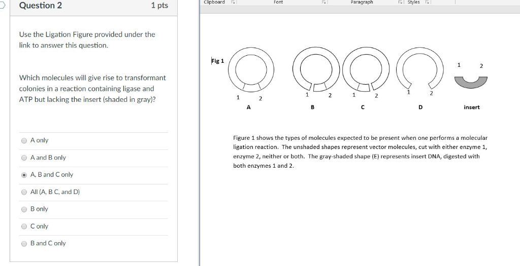 Solved Clipboard Font Paragraph Styles Question 2 1 pts Use | Chegg.com