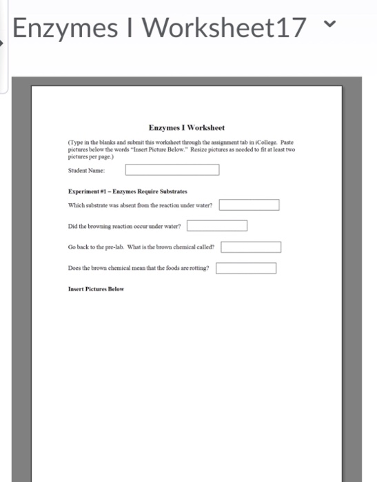 Enzymes I Worksheet17 Enzymes I Worksheet (Type in | Chegg.com