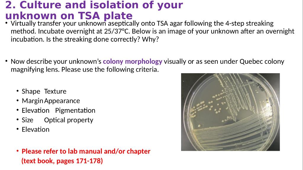 A “Virtual” Unknown Bacteria Identification Phylum | Chegg.com