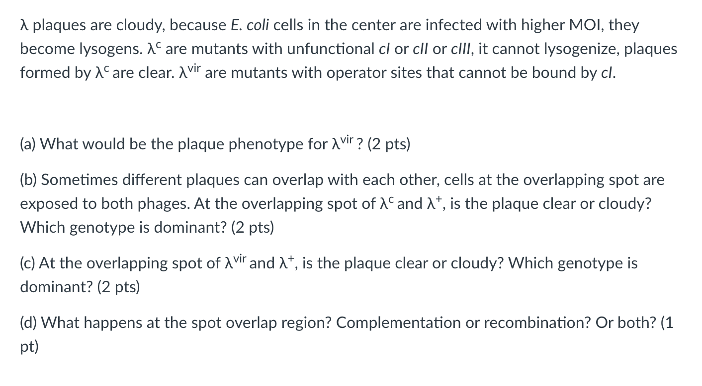 Solved λ plaques are cloudy, because E. coli cells in the | Chegg.com