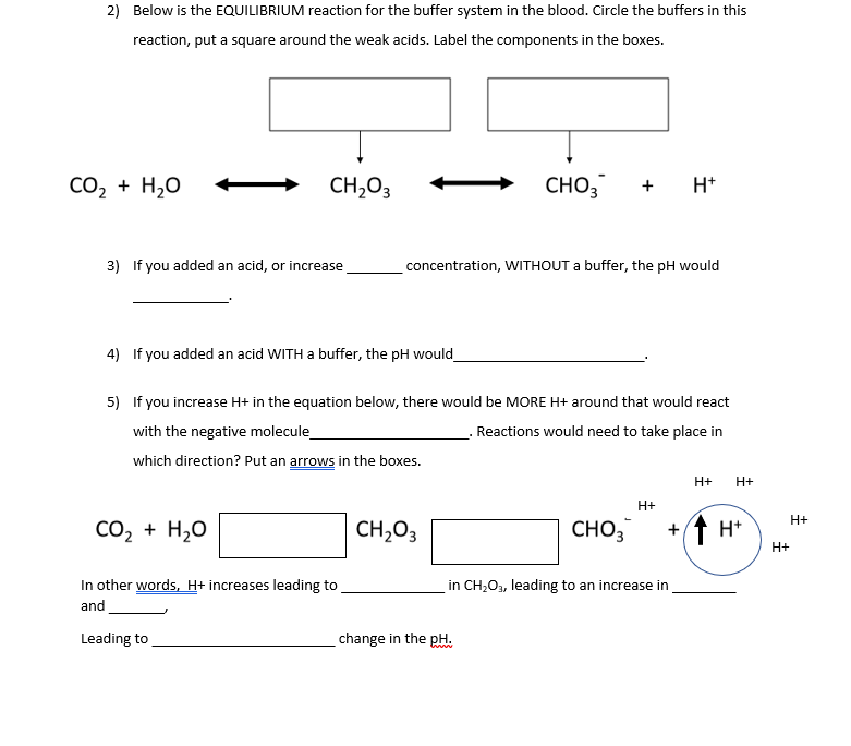 Solved 2) Below is the EQUILIBRIUM reaction for the buffer | Chegg.com