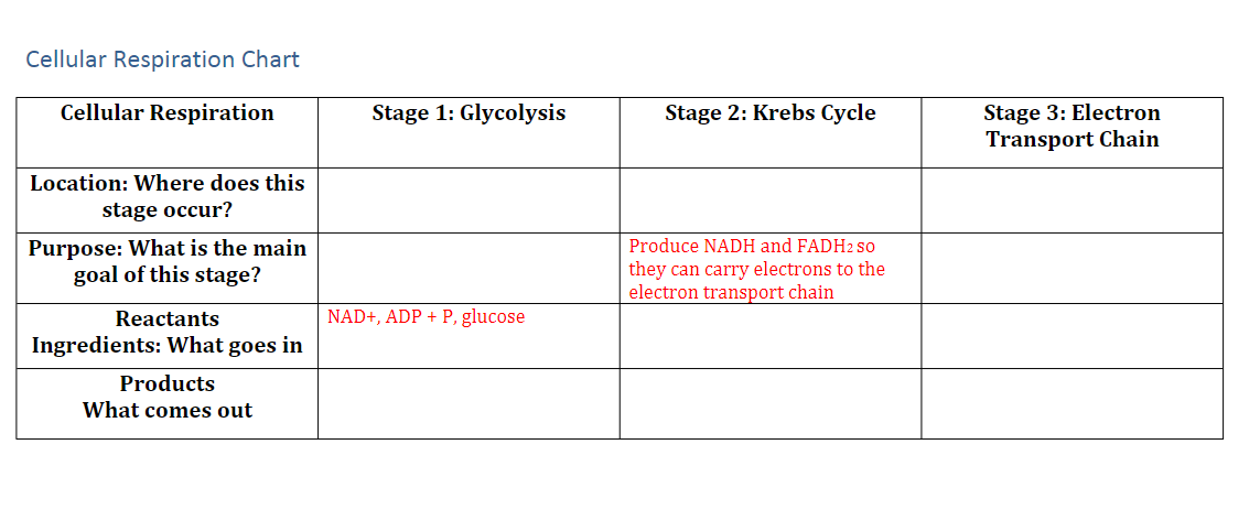 Solved Cellular Respiration Chart Cellular Respiration Stage | Chegg.com