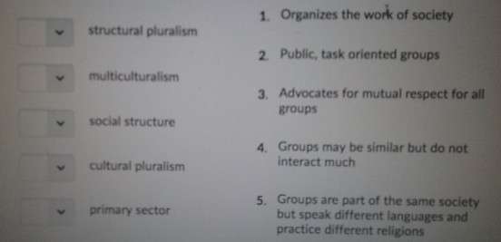 1. Organizes the work of society structural pluralism | Chegg.com