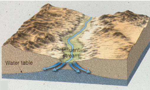 Solved Influent stream Water table | Chegg.com