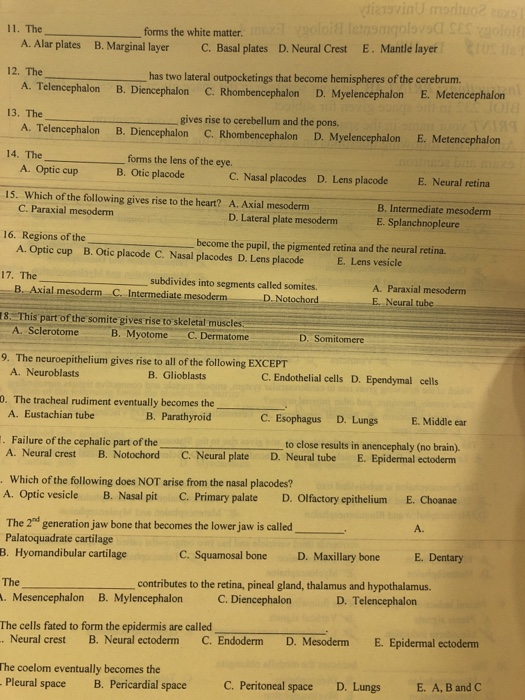 Solved 11. The forms the white matter. A. Alar plates B. | Chegg.com