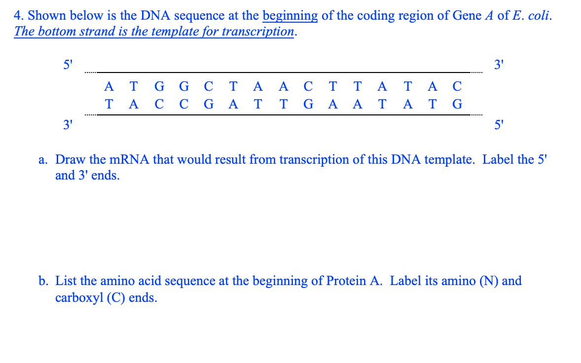 Solved 4. Shown below is the DNA sequence at the beginning | Chegg.com