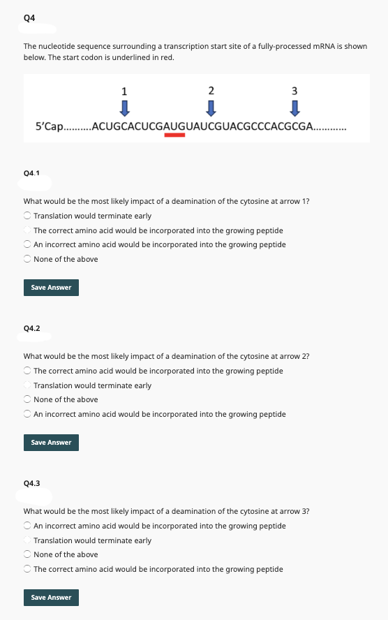 Solved What is the answer to the multiple choice questions? | Chegg.com