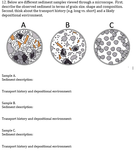 Solved 12. Below are different sediment samples viewed | Chegg.com