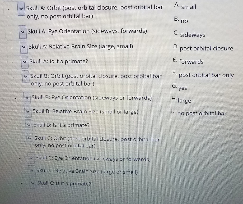 Solved QUESTION 1 Looking at the skull, primates are | Chegg.com