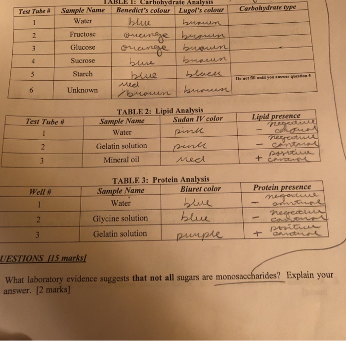 Solved SBI4UI LAB Identifving Macromolecules INTRODUCTION Chegg solved-sbi4ui-lab-identifving-macromolecules-introduction-chegg