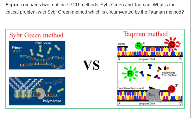 Real Time Pcr Taqman Real Time Pcr Taqman