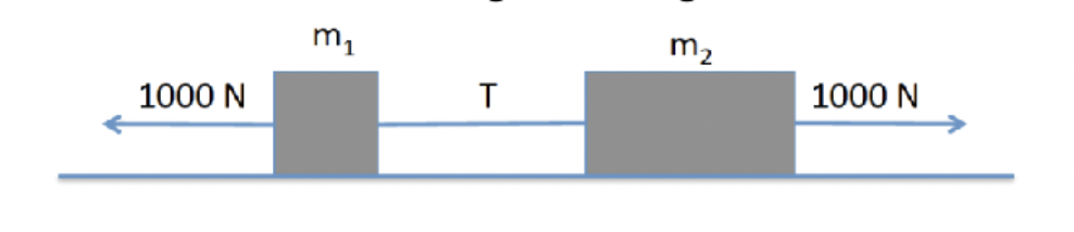 Solved Consider 2 blocks of masses m2=2m1, sitting on a | Chegg.com