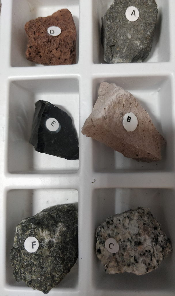 Solved (Earth Science) Igneous Rocks Identification | Chegg.com