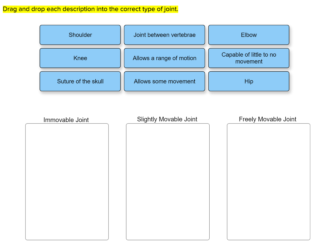 Solved Axial and appendicular skeletons Drag and drop each | Chegg.com