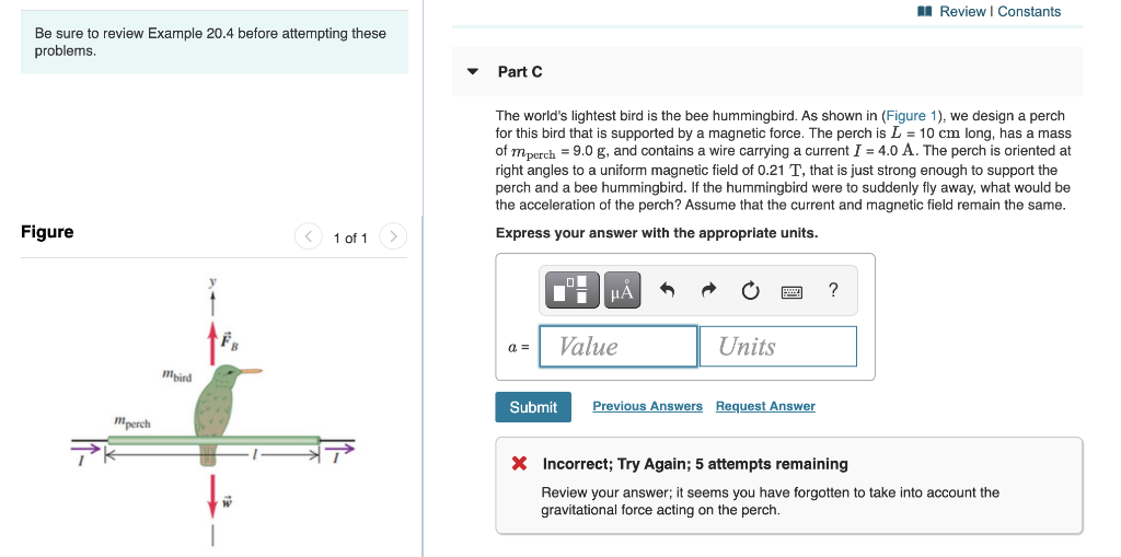 Solved The world's lightest bird is the bee hummingbird. As | Chegg.com