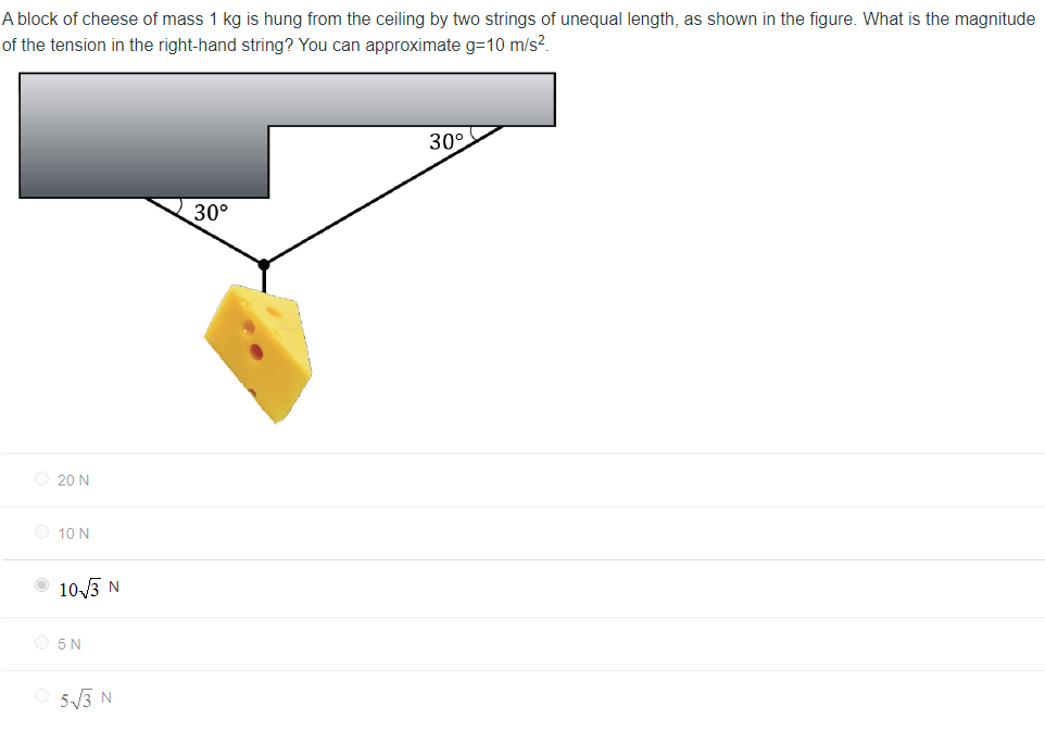 Solved A block of cheese of mass 1 kg is hung from the | Chegg.com